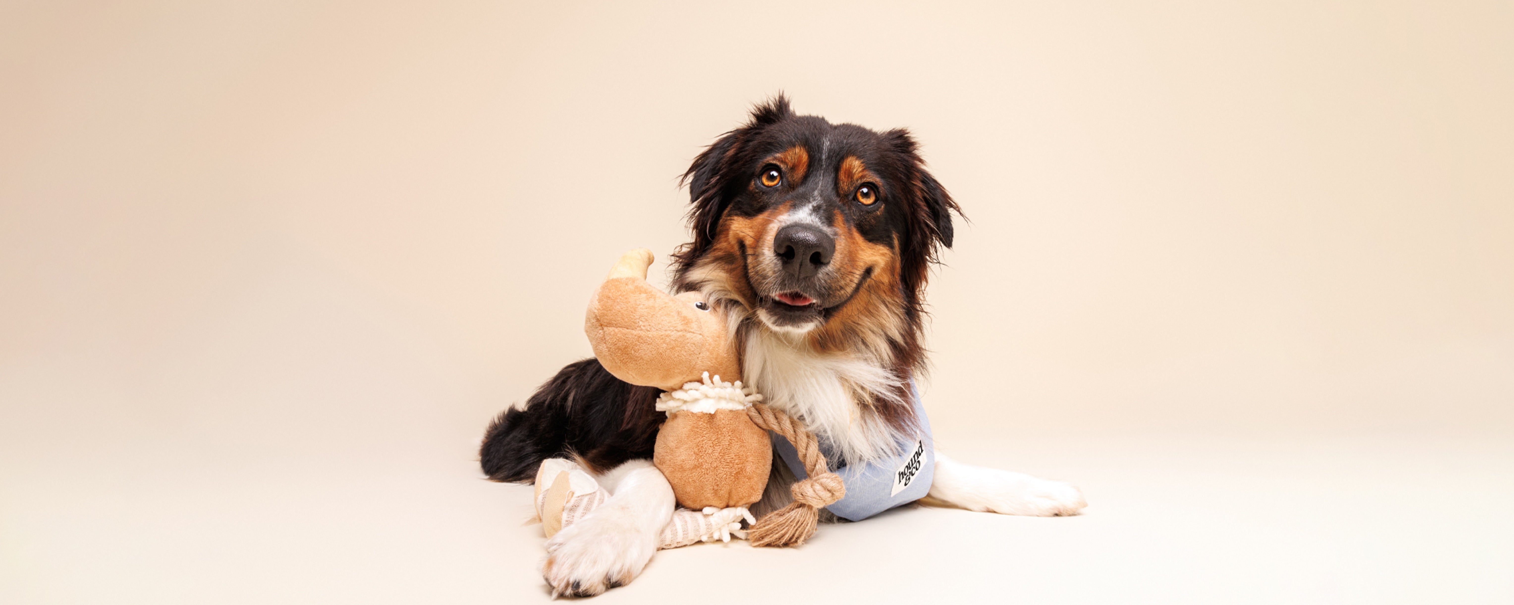 Soft Toys – Hound&Co