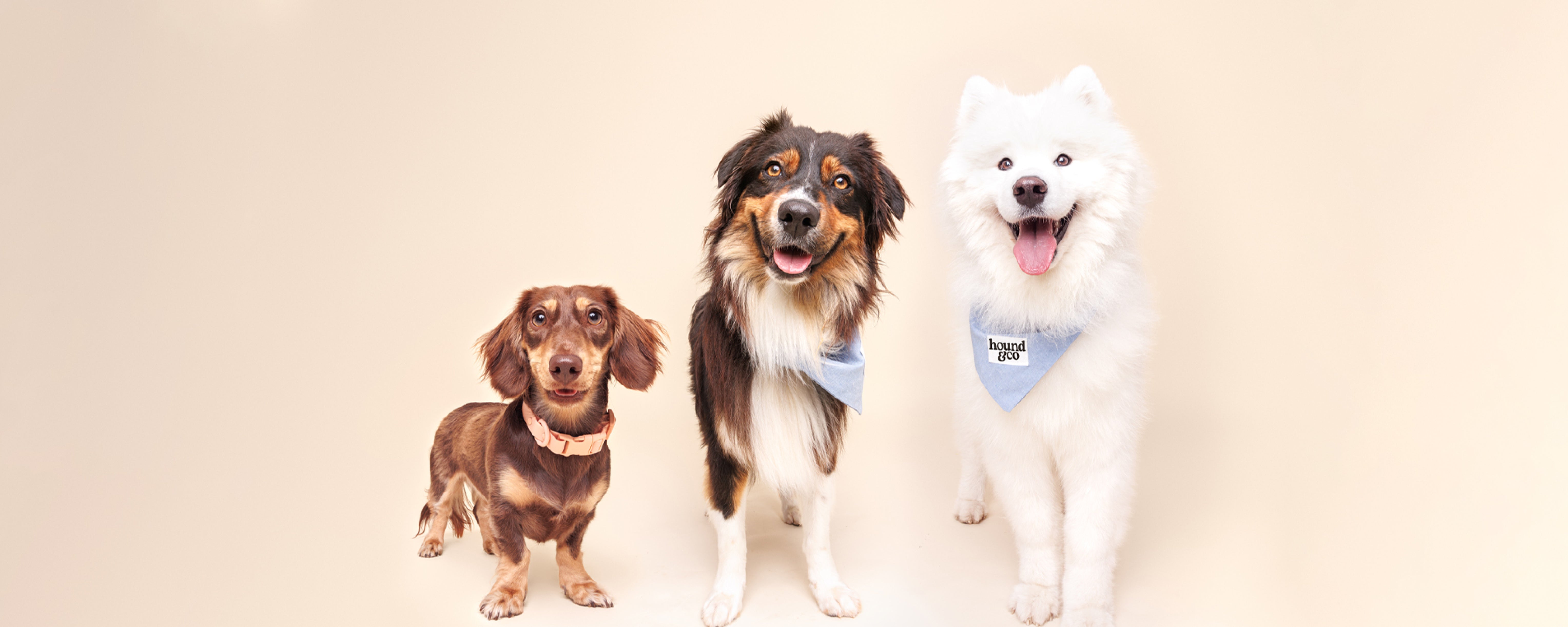 All Toys – Hound&Co