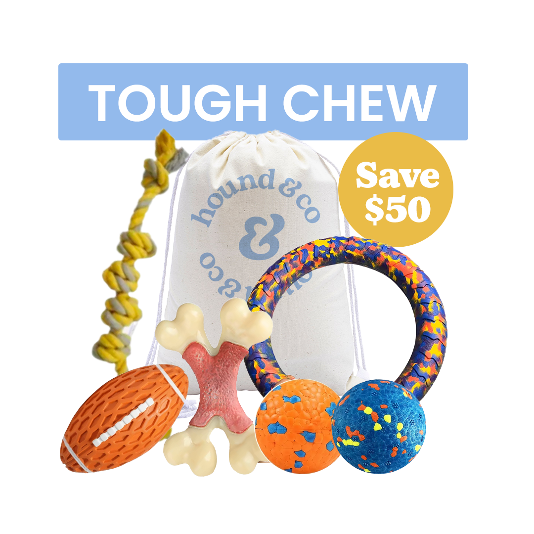 Tough Chewer Dog Bundle – Hound&Co