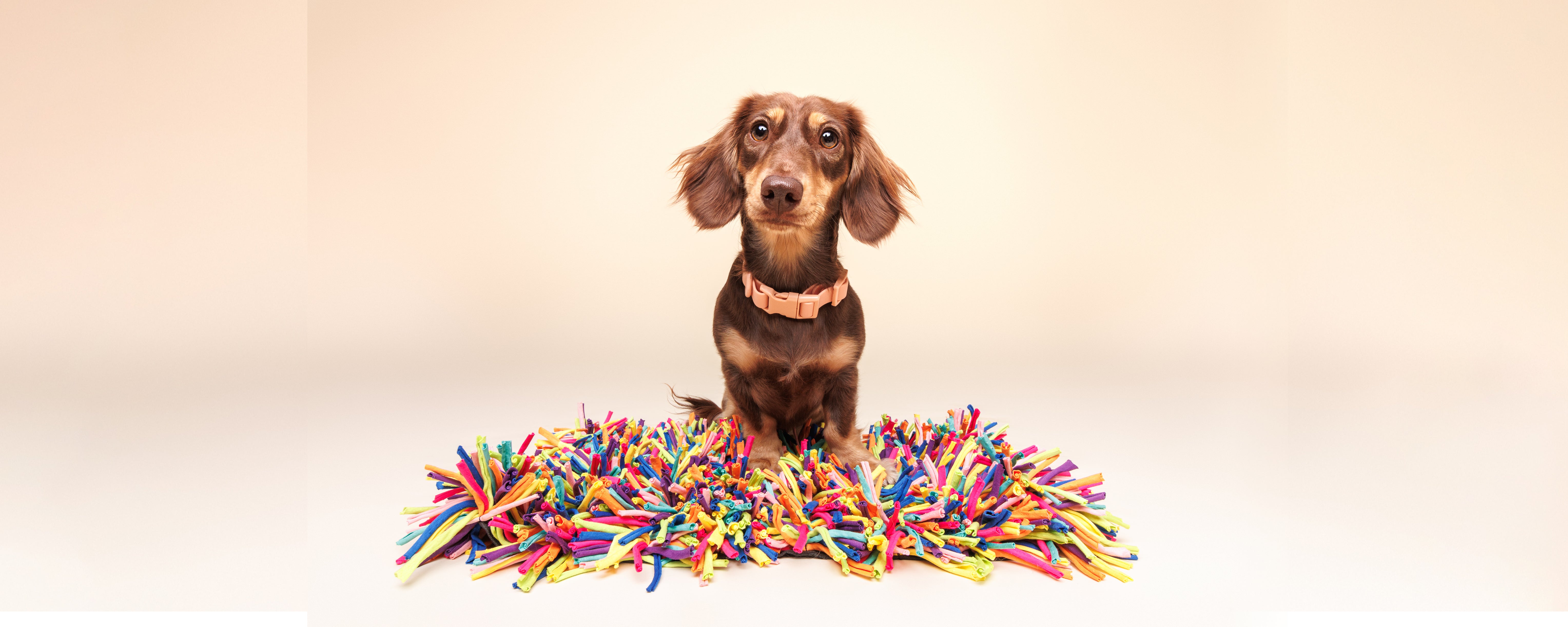 Enrichment Toys – Hound&Co