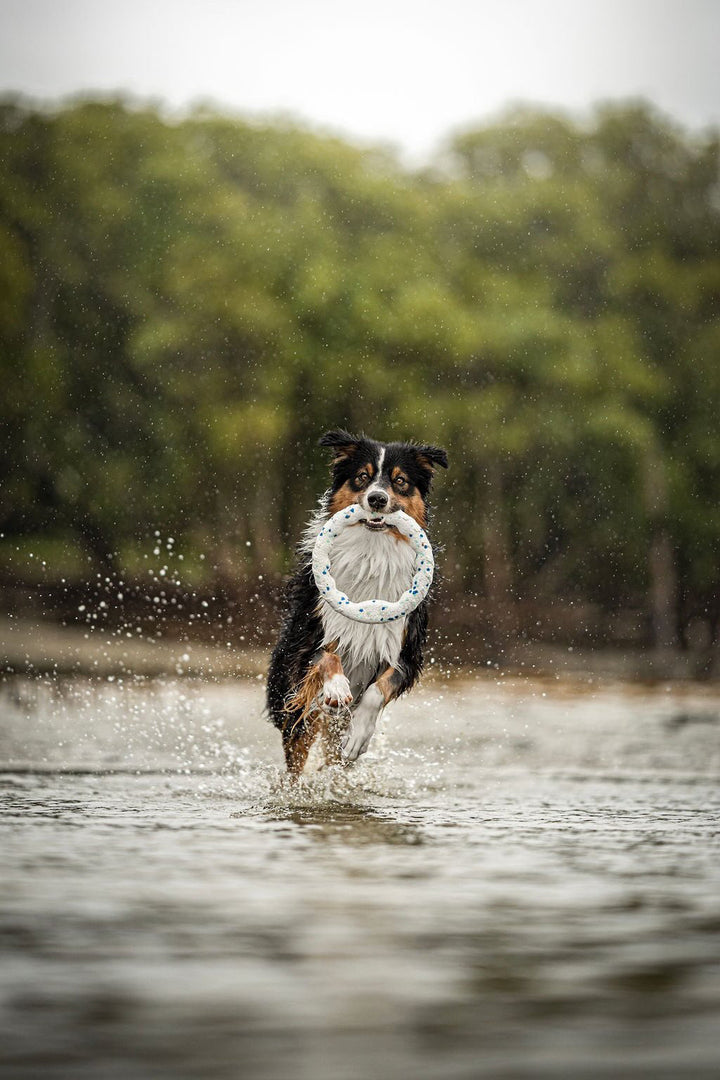 Hound & Co – Hound&Co