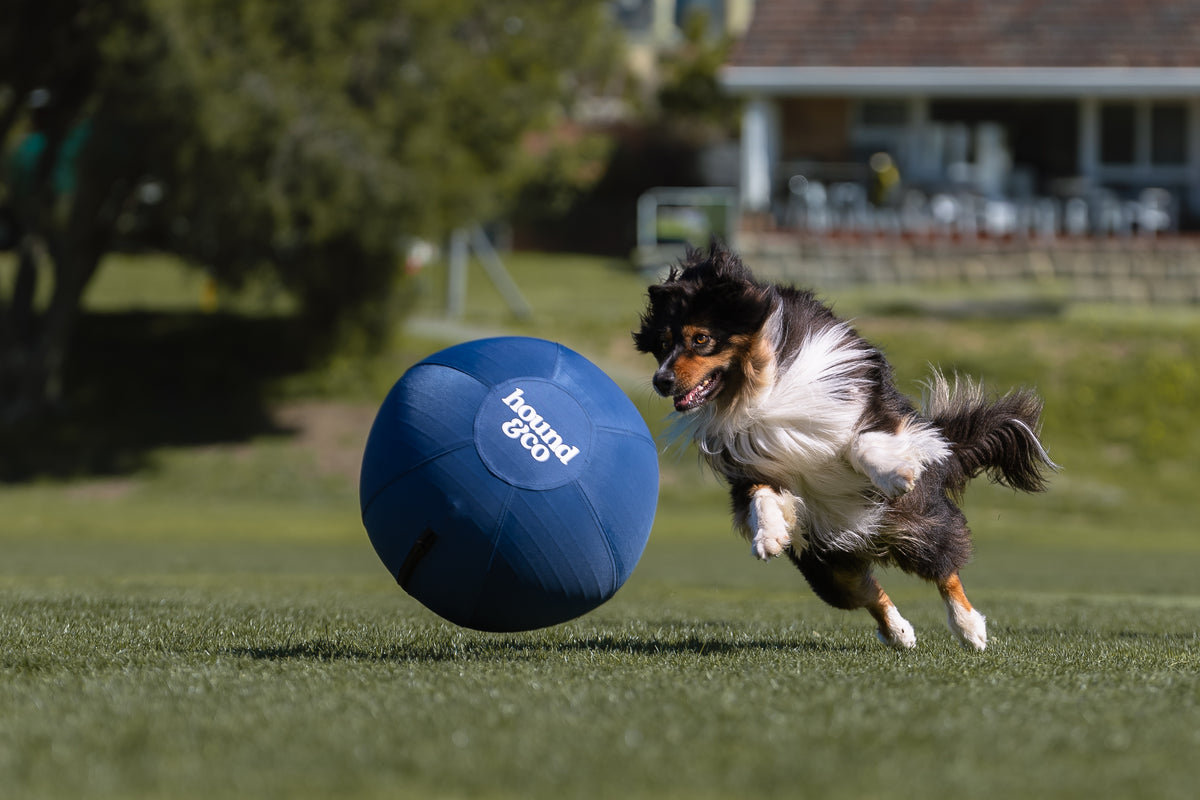 Hound & Co – Hound&Co