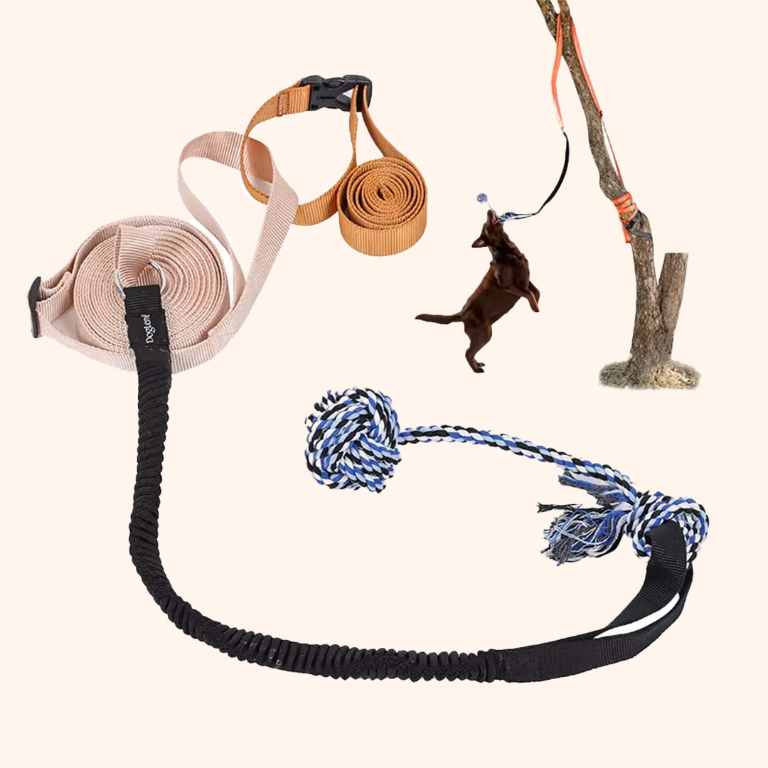 Bungee Dog Tug Rope – Hound&Co