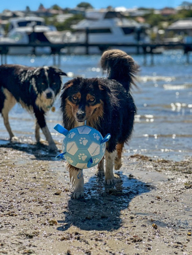 Grab Tab Soccer Ball | Made For Dogs Who Love To Fetch – Hound&Co