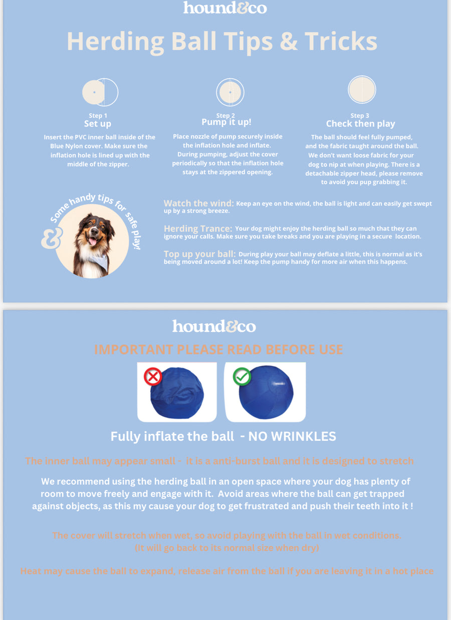 Herding Ball for Dogs | Shop online at Hound&CO / Dog chasing big ball ...