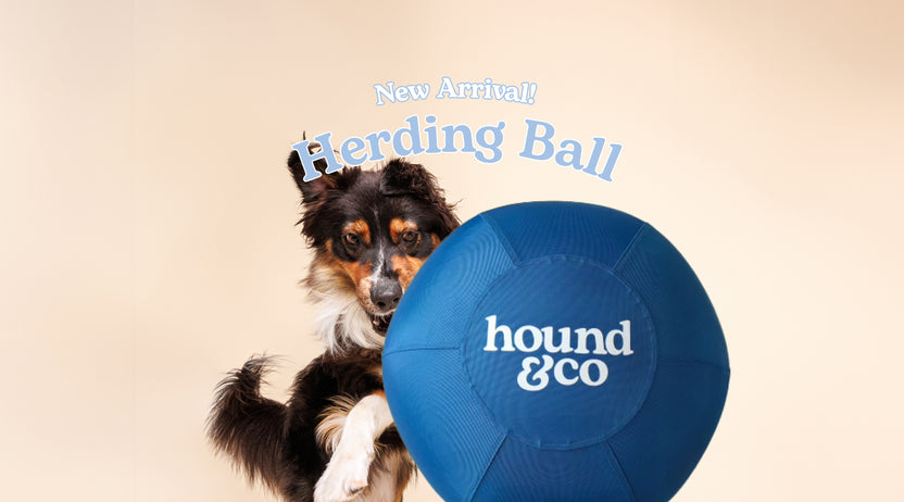 Hound & Co – Hound&Co
