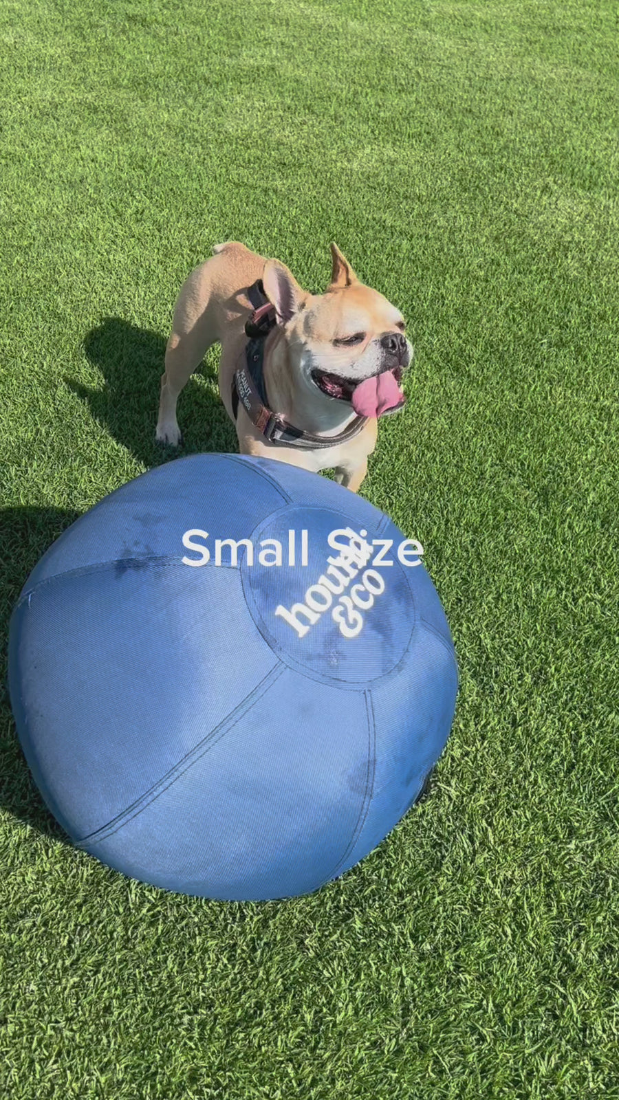 Hound & Co – Hound&Co