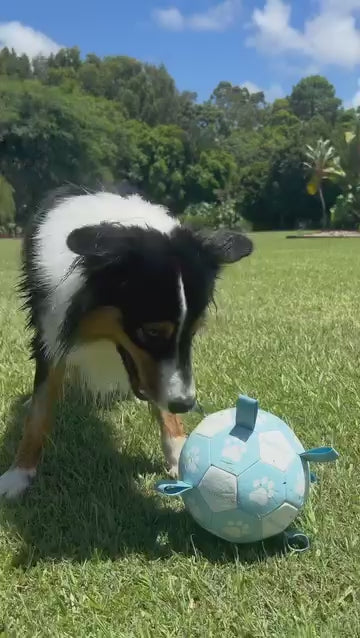 Grab Tab Soccer Ball | Made For Dogs Who Love To Fetch – Hound&Co
