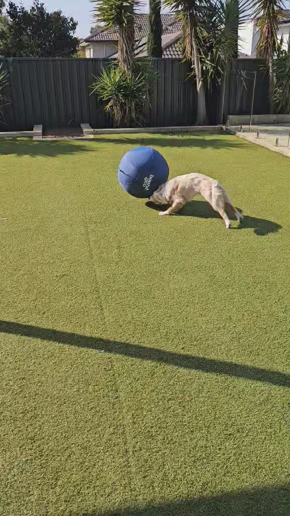 Hound & Co – Hound&Co