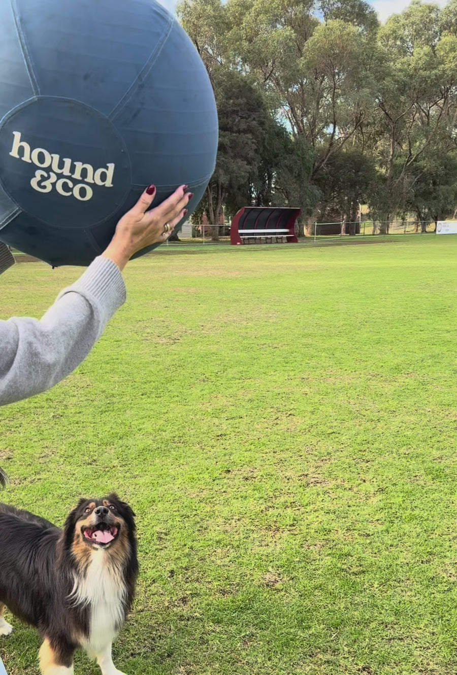 Hound & Co – Hound&Co